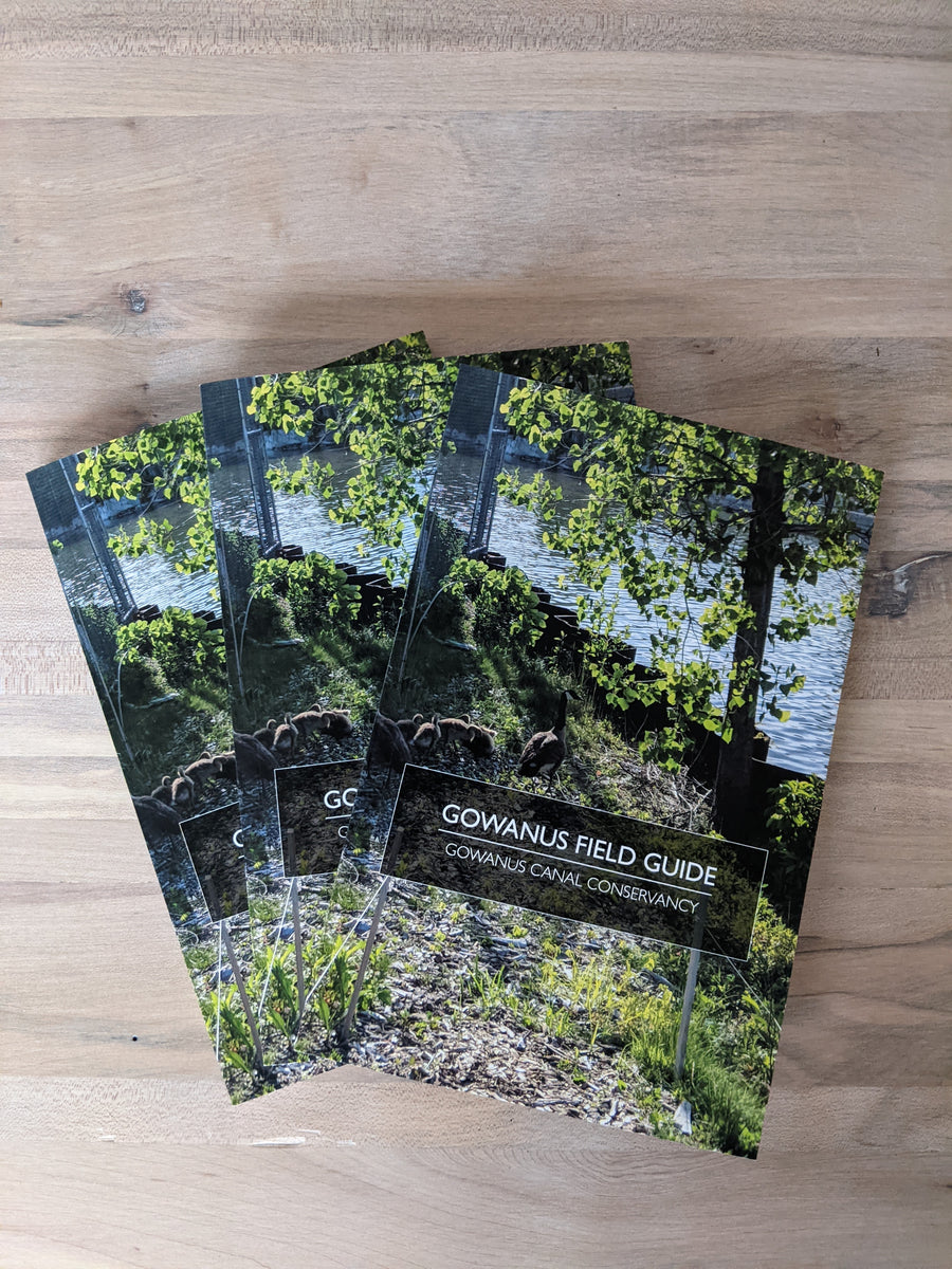 Gowanus Field Guide – Gowanus Canal Conservancy